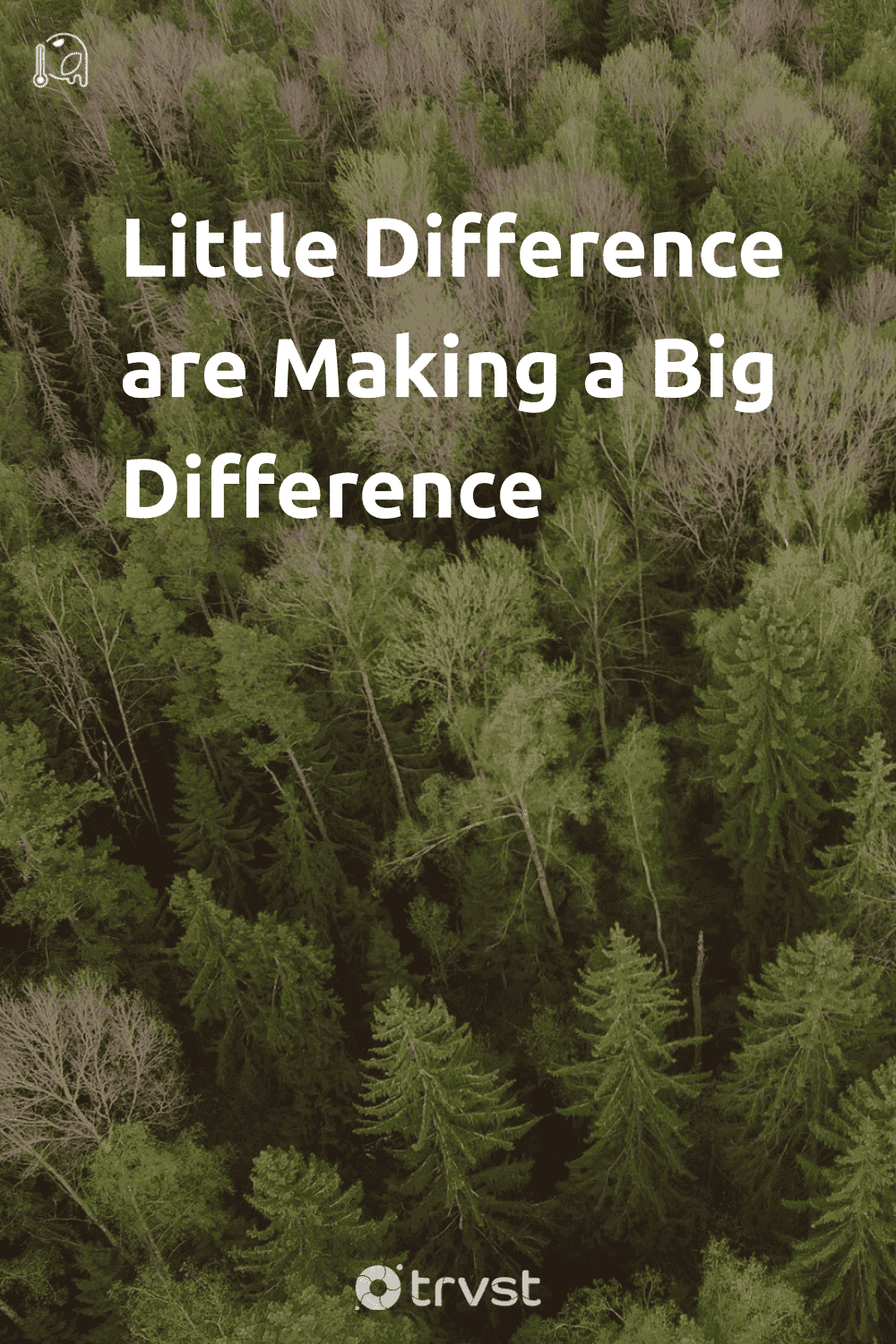 Little Difference Making a Big Difference. Greeting Cards That Plant Trees