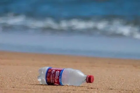 5 Ways to Tackle Ocean Plastics to Reduce Plastic Waste in the Oceans