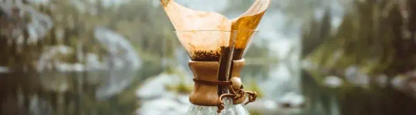 Coffee - Environmental Impact of our Caffeine Habit