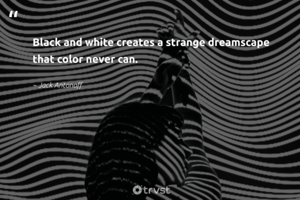 70 Black And White Quotes For Contrast Appreciation (2025)