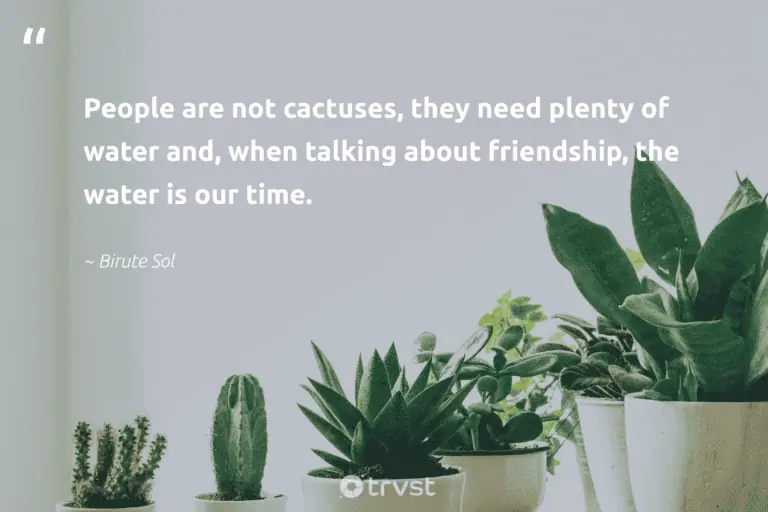 34 Cactus Quotes About Prickles and Resilience (2025)
