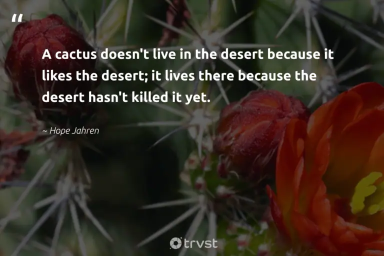 34 Cactus Quotes About Prickles and Resilience (2025)