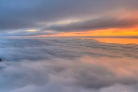 11 Affordable Environment Posters to Inspire Action and Awareness