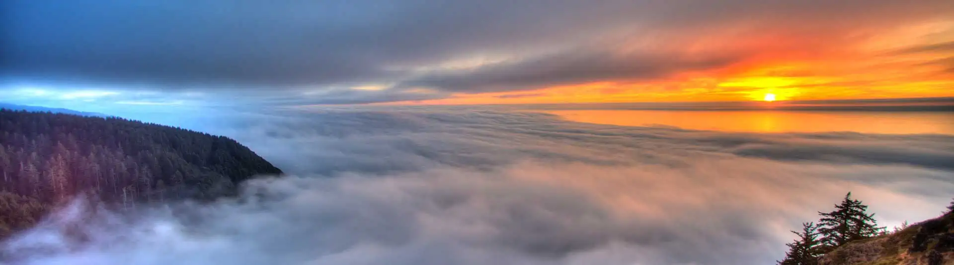 12 Famous Environmentalists Inspiring Change & Collective Action