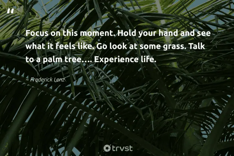 46 Palm Tree Quotes to Inspire Chilled Moments and Beach Time