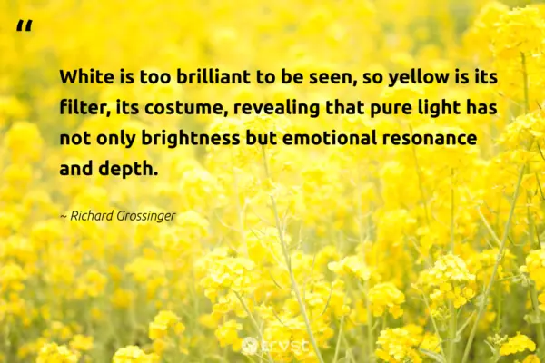 50 Yellow Quotes For Brighter Days and Sunny Inspiration (2025)