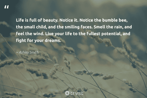 72 Wind Quotes About Brisk Days and Windy Moments (2024)