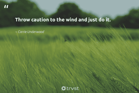 72 Wind Quotes About Brisk Days and Windy Moments (2025)