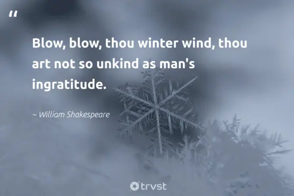 36 Ice Quotes That Remind Us To Protect All Of Nature (2024