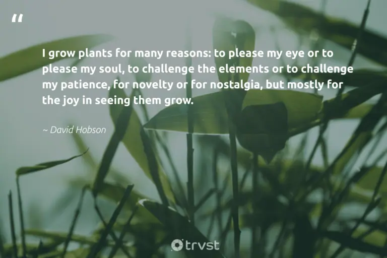 69 Plant Quotes to Inspire Your Green Thumb and Plant Love