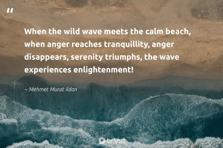 50 Waves Quotes to Inspire Beach Moments and Life Journeys