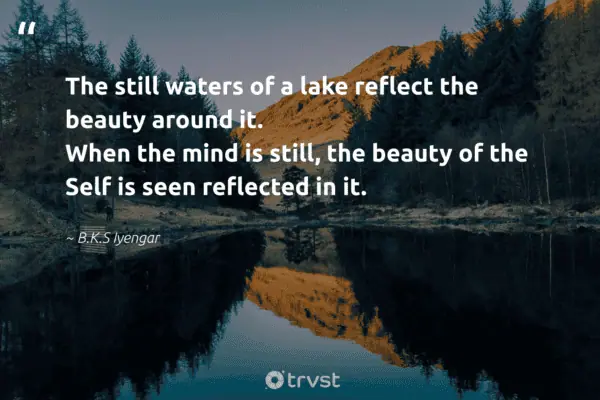 50 Lake Quotes Inspiring Tranquillity And Relaxation (2024)