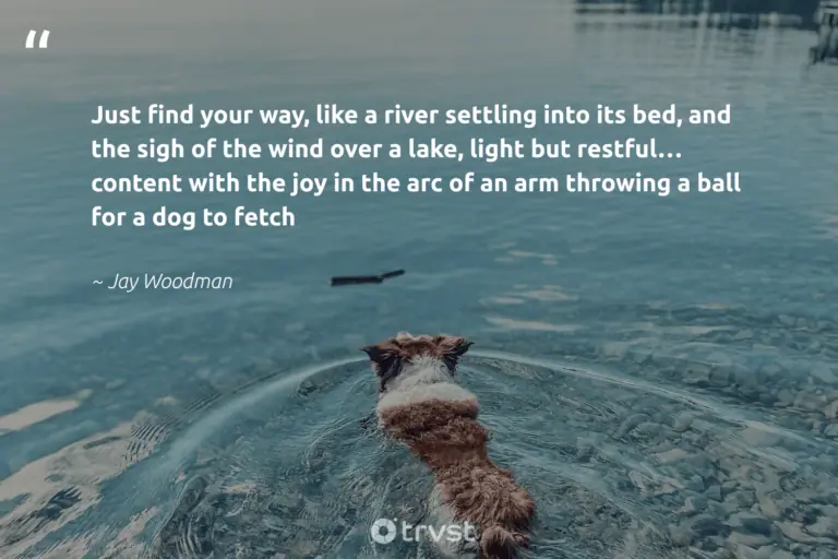50 Lake Quotes Inspiring Tranquillity And Relaxation (2024)