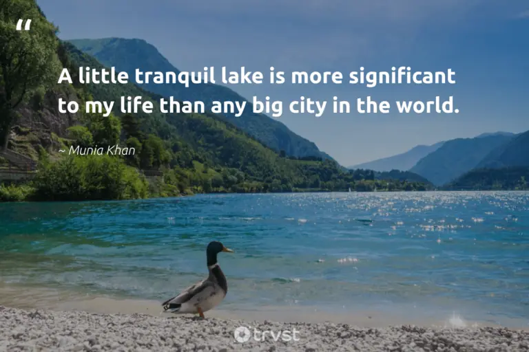 50 Lake Quotes Inspiring Tranquillity And Relaxation (2024)