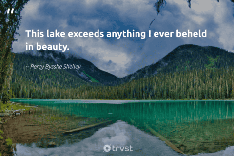 50 Lake Quotes Inspiring Tranquillity And Relaxation (2024)