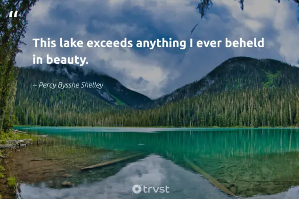 50 Lake Quotes Inspiring Tranquillity And Relaxation (2024)