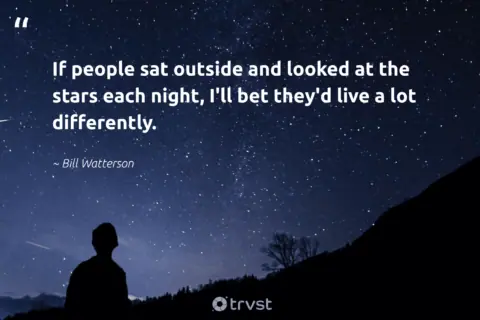 95 Star Quotes For Pondering Starry Nights And Reflection (2025)