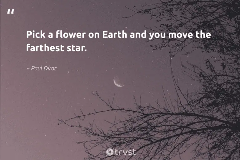 95 Star Quotes For Pondering Starry Nights And Reflection (2025)