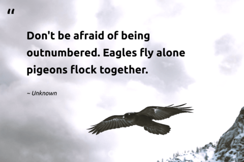 65 Eagle Quotes That Can Help You Conquer the Sky (2025)