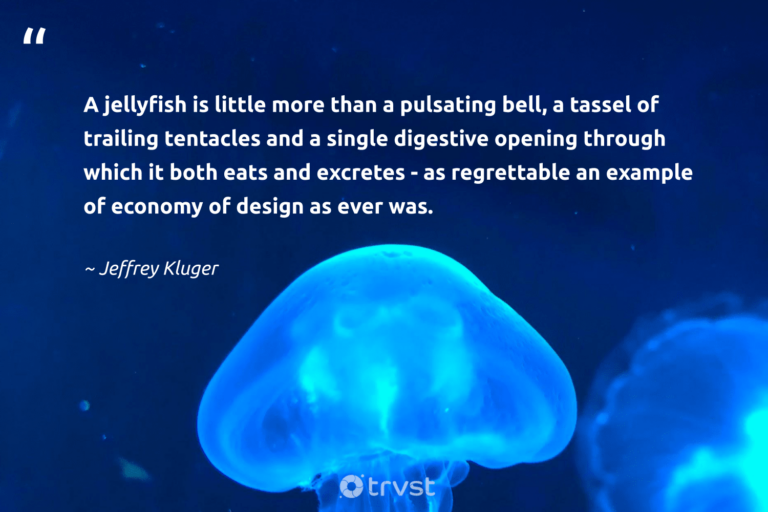 28 Jellyfish Quotes to Promote Simplicity and Survival (2025)