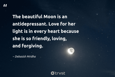 97 Moon Quotes Illuminating Our Reflections (2025)