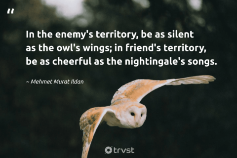 43 Owl Quotes, Captions, and Sayings to Make You Wiser