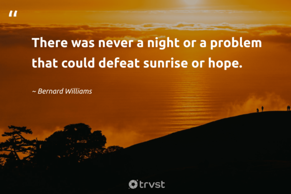 96 Beautiful Sunrise Quotes To Start Your Day Right (2025)