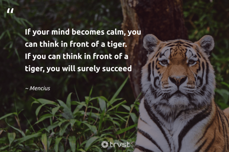 77 Tiger Quotes And Sayings Reflecting Fierce Beauty (2025)