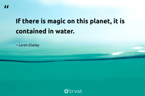 108 Water Quotes To Refresh And Reinforce Its Importance (2025)