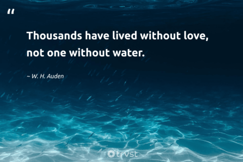 108 Water Quotes To Refresh And Reinforce Its Importance (2025)