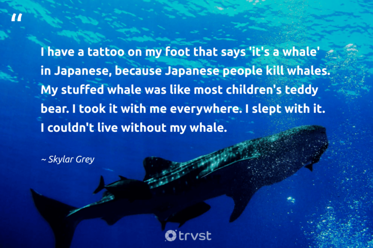 36 Whale Quotes To Help You Be Calm And Hopeful (2025)