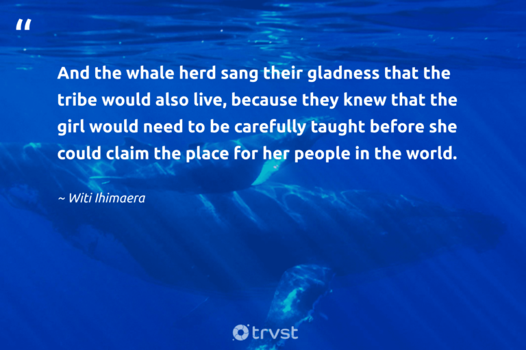 36 Whale Quotes To Help You Be Calm And Hopeful (2025)