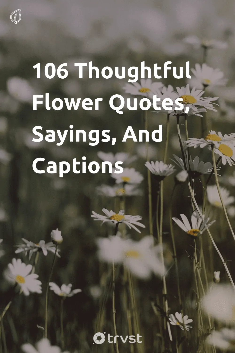 124 Flower Quotes and Sayings From Bud to Blossom (2025)