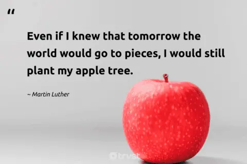 60 Apple Quotes To Keep The Doctor Away