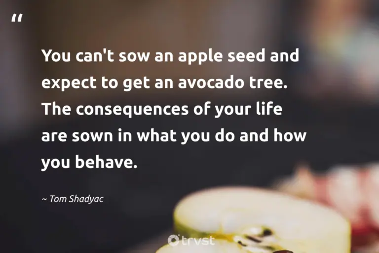 60 Apple Quotes To Keep The Doctor Away