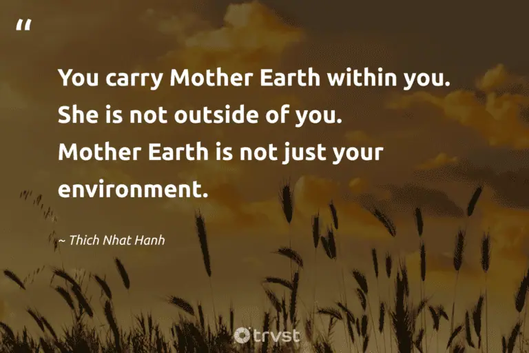 52 Earth Quotes To Promote Ecological Awareness