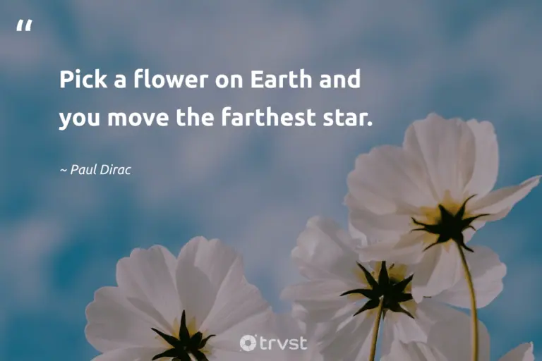 124 Flower Quotes and Sayings From Bud to Blossom (2025)