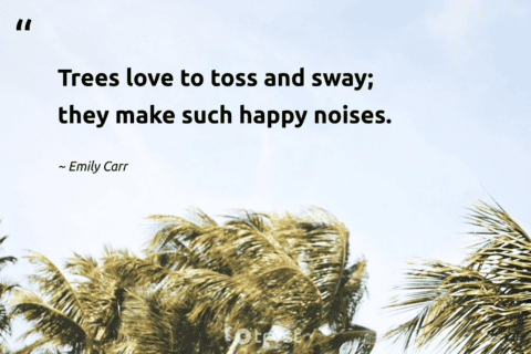 82 Tree Quotes to Encourage Growth and Preservation
