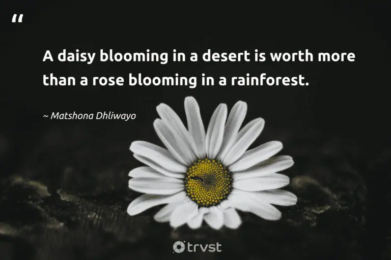 68 Bloom Quotes and Sayings Revealing Inner Beauty (2025)
