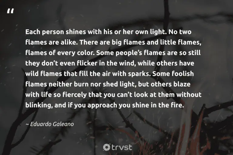 94 Fire Quotes To Ignite Passion and Ecological Protection (2025)