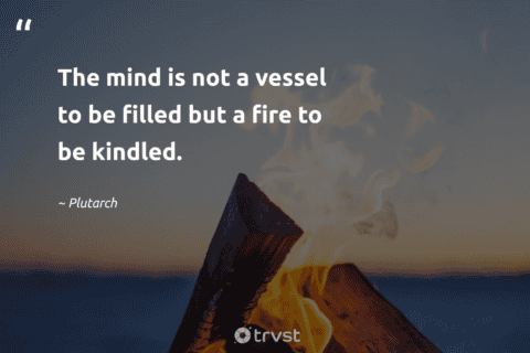 94 Fire Quotes To Ignite Passion and Ecological Protection (2025)