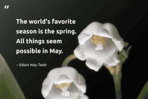 40 May Quotes and Sayings to Savor the Last Moments of Spring (2025)