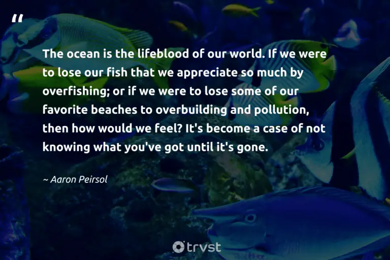 103 Ocean Quotes That Capture Its Beauty and Power (2025)