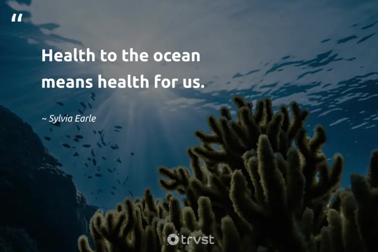 103 Ocean Quotes That Capture Its Beauty and Power (2025)