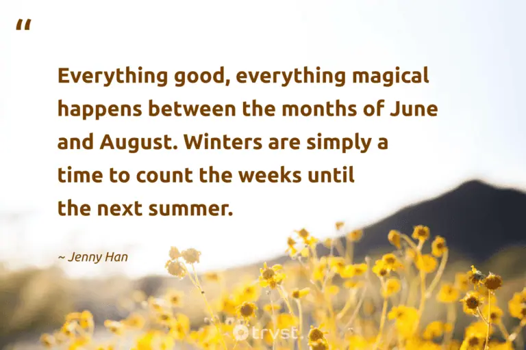 43 Summer Quotes to Beat the Heat