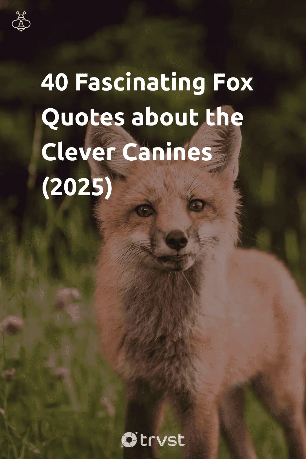 40 Fascinating Fox Quotes about the Clever Canines (2025)