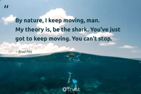 40 Shark Quotes About the Revered Predator of The Ocean (2024)