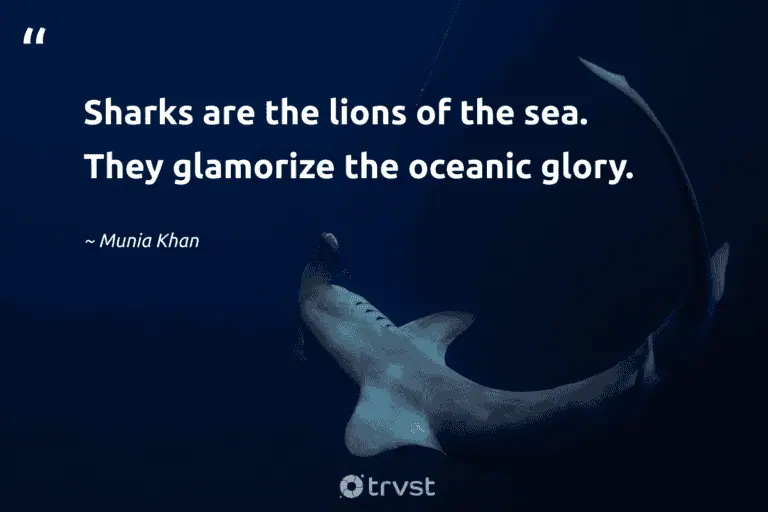 40 Shark Quotes About the Revered Predator of The Ocean (2025)