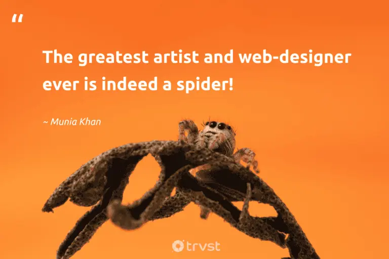 40 Spider Quotes Appreciating These 8-Legged Creatures (2025)