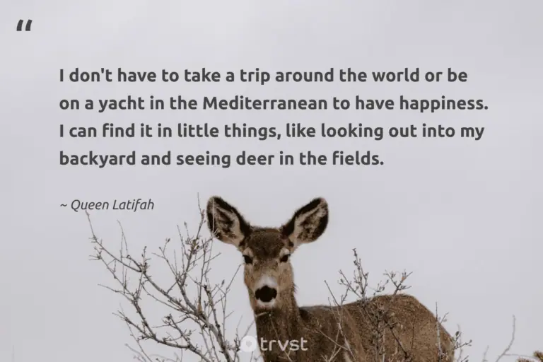 35 Deer Quotes About The Graceful Mammals with Antlers